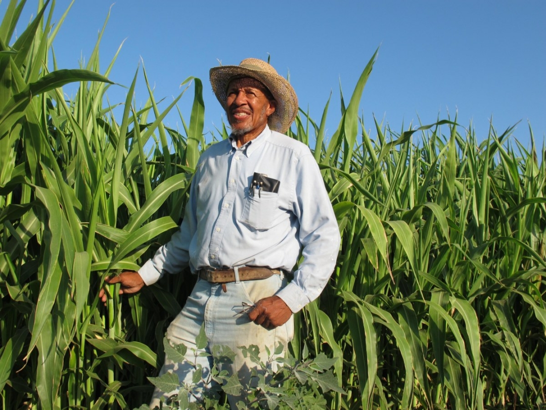 The Ultimate List of Black Owned Farms & Food Gardens