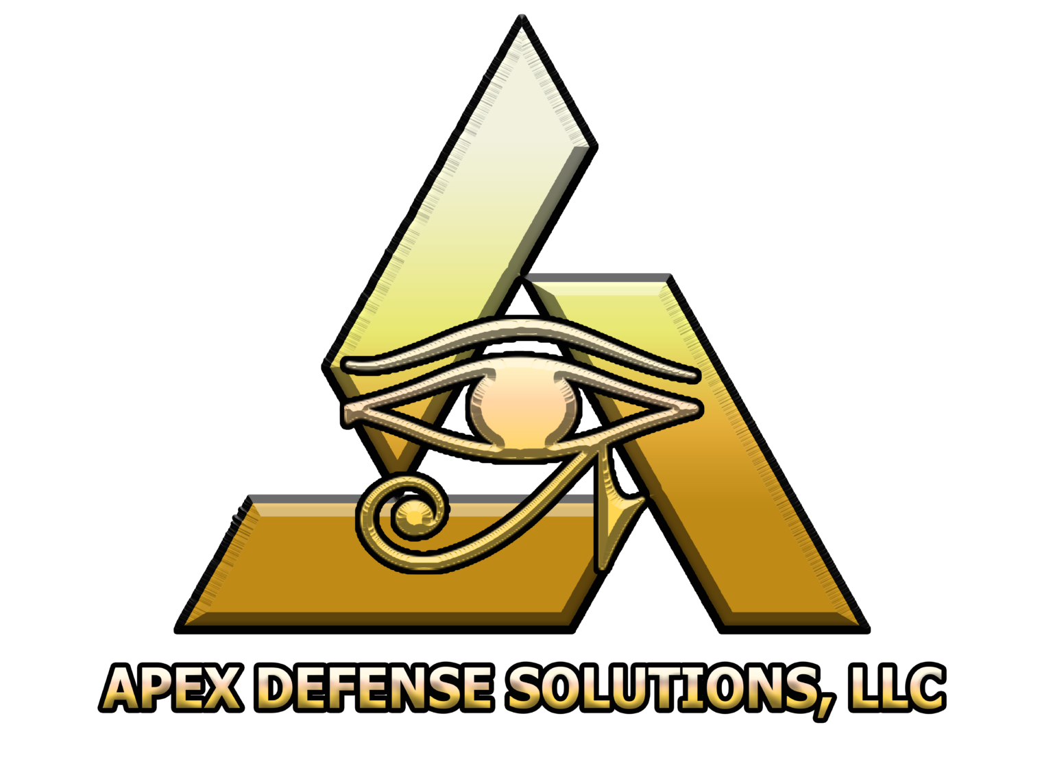 Black Owned Gun Stores and Firearms Training Businesses