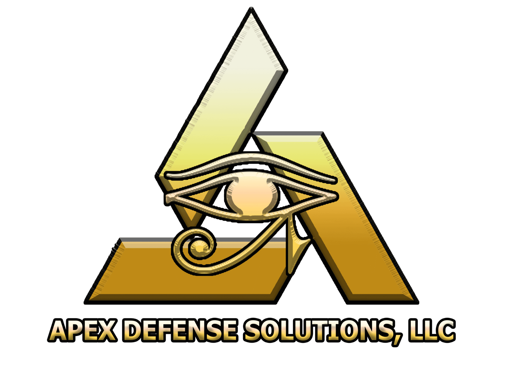 Black Owned Gun Stores and Firearms Training Businesses