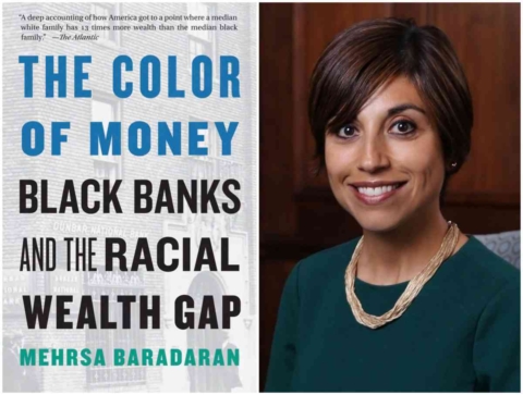 The Racial Wealth Gap, Political Power vs Economic Power, and ...