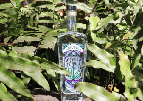 Black Owned Tequila Brands You Should Know | SHOPPE BLACK