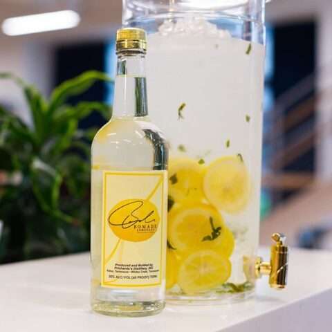 Black Owned Vodka Brands You Should Know - SHOPPE BLACK